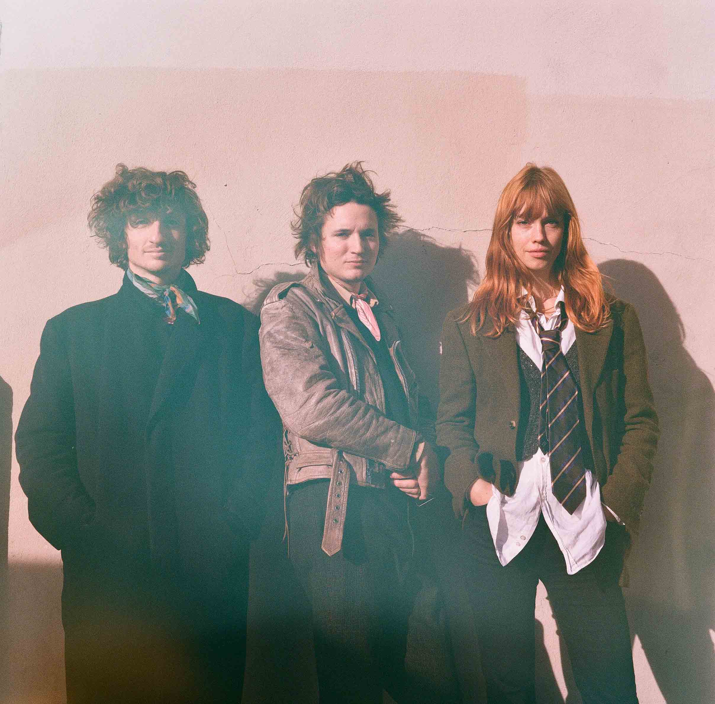 ニュース - P-VINE, Inc.